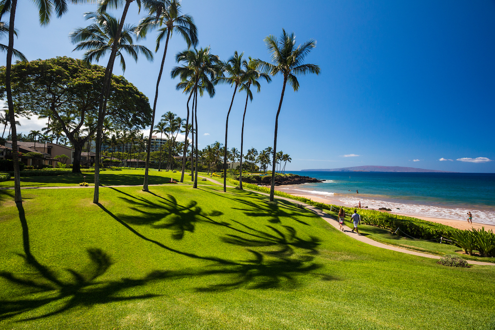 The magic of Maui – how one island captures your heart | Expedia