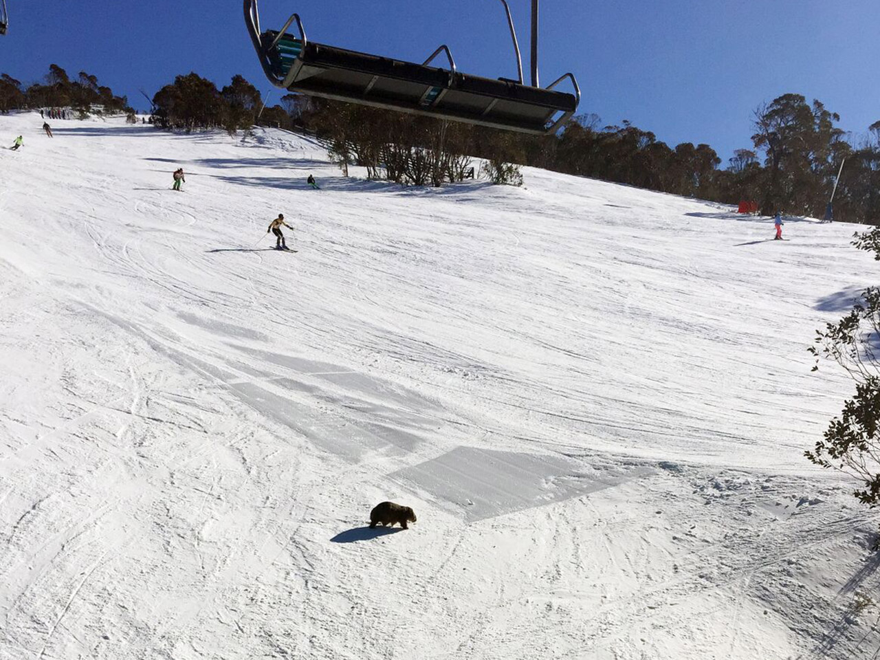 10 reasons the Aussie Snowy Mountains are worth visiting | Expedia